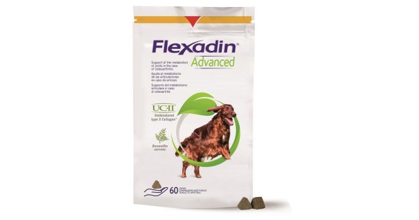 FLEXADIN ADVANCED 60TAV MASTIC