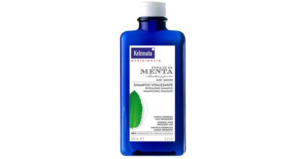 SHAMPOO MENTA 250ML